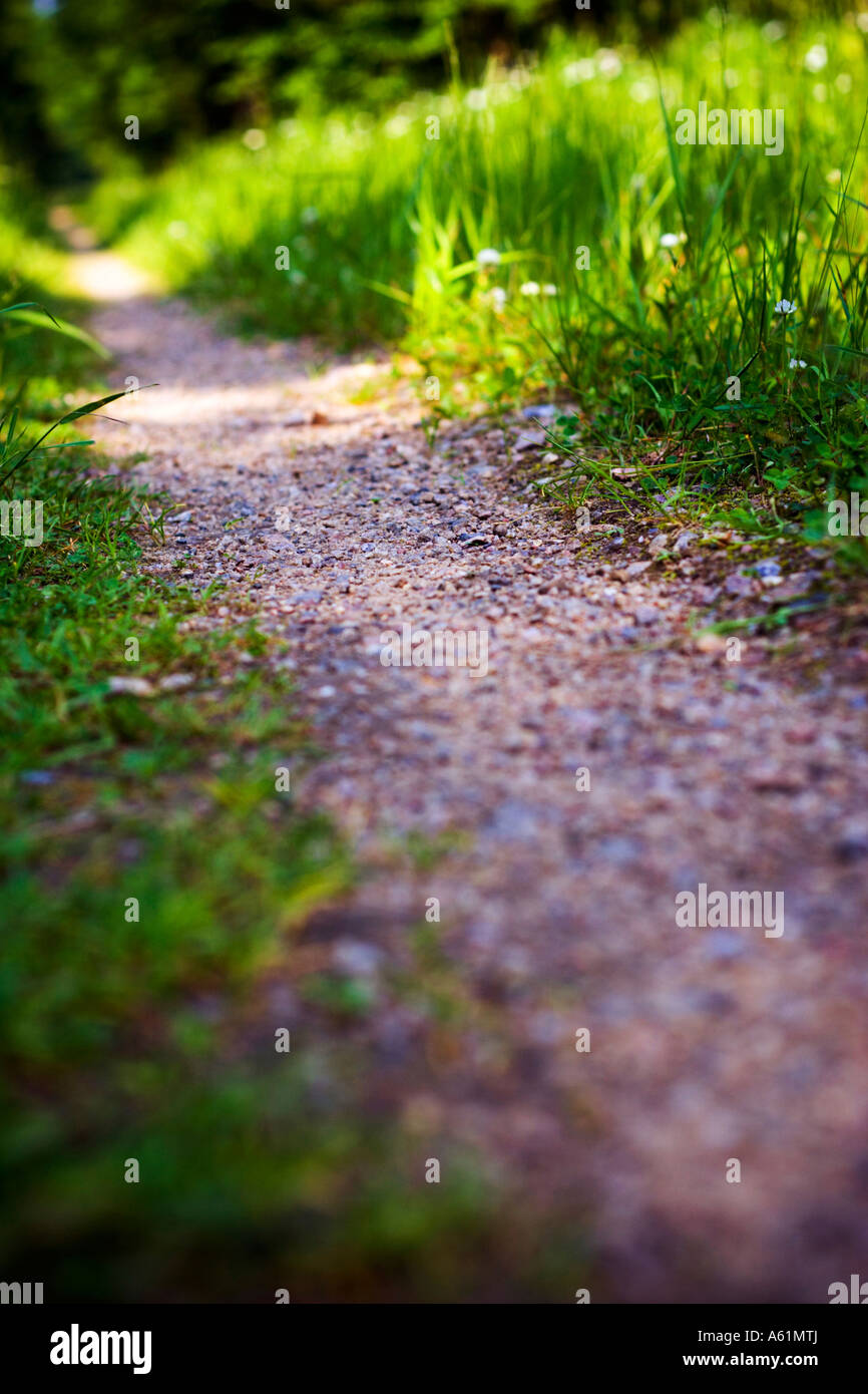 a trail in the country with grass and wild flowers Stock Photo - Alamy