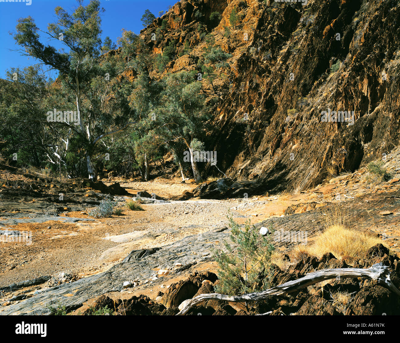 Weetootla Gorge in the Gammon Ranges National Park the northern end of ...