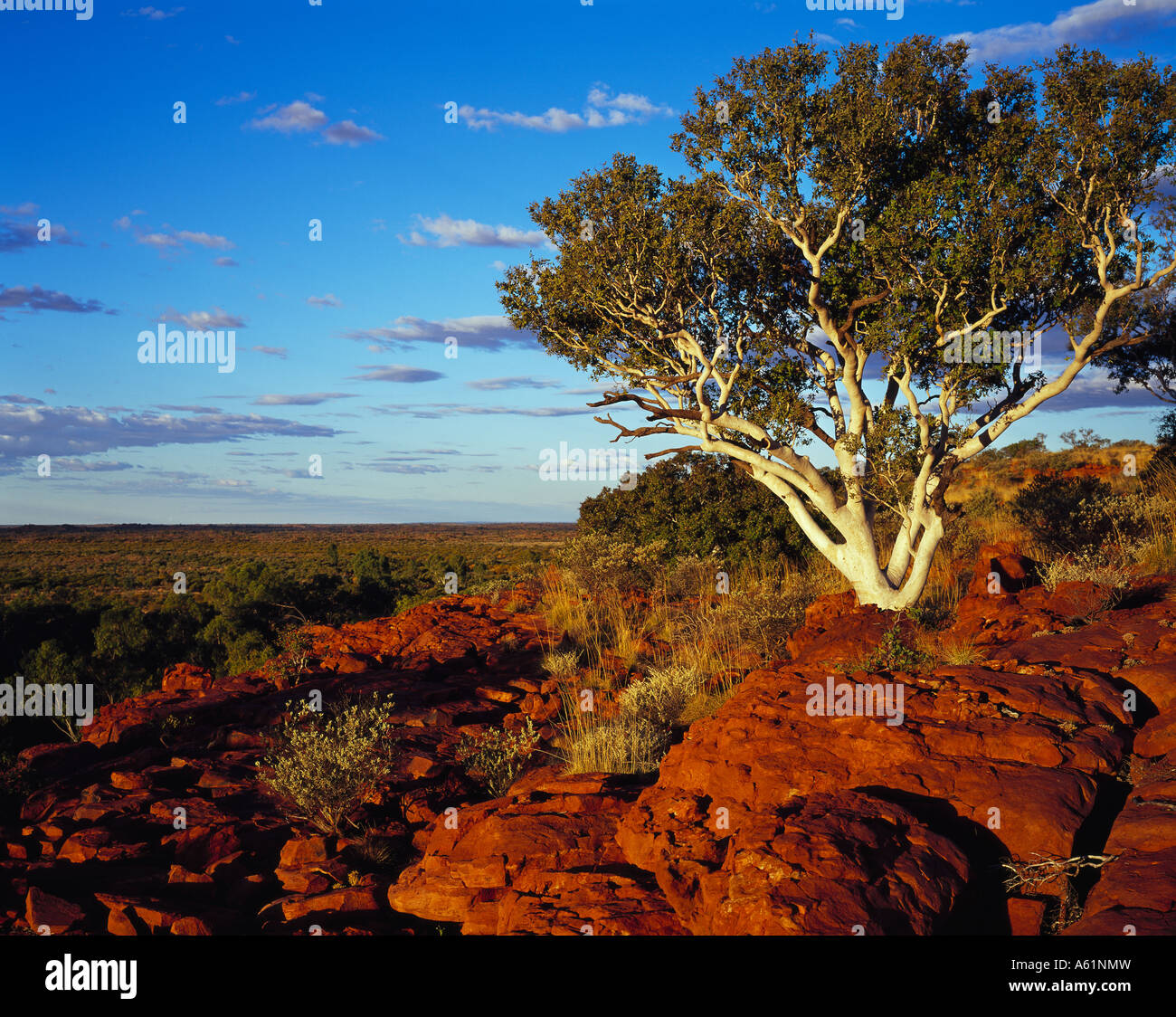 Snappy Gum Stock Photos & Snappy Gum Stock Images - Alamy