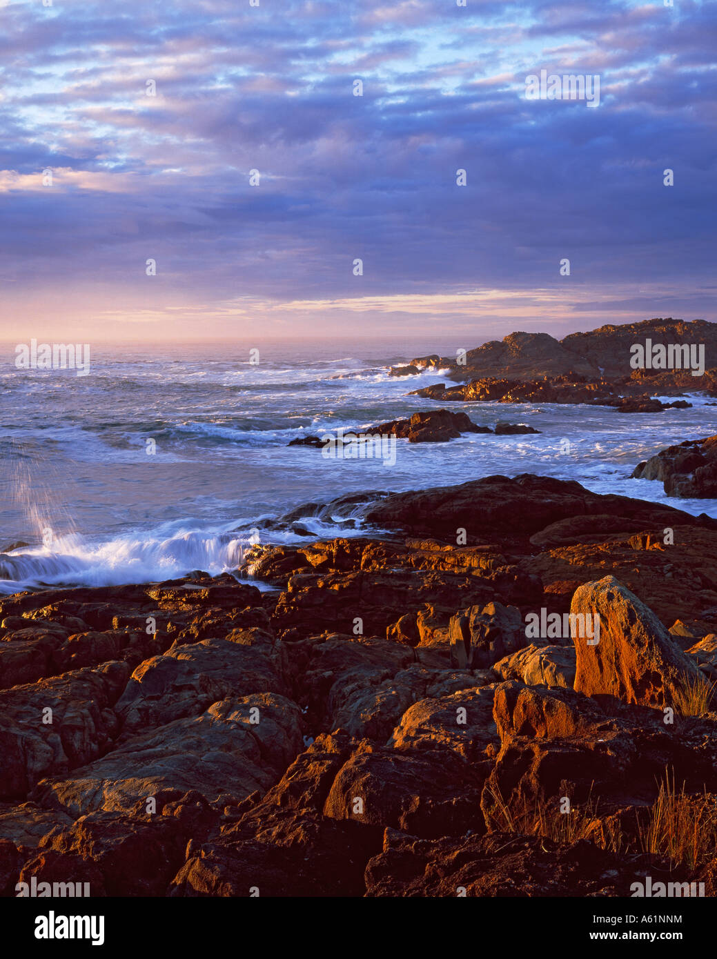 Stormy sunrise at the Mimosa Rocks Mimosa Rocks National Park New South ...