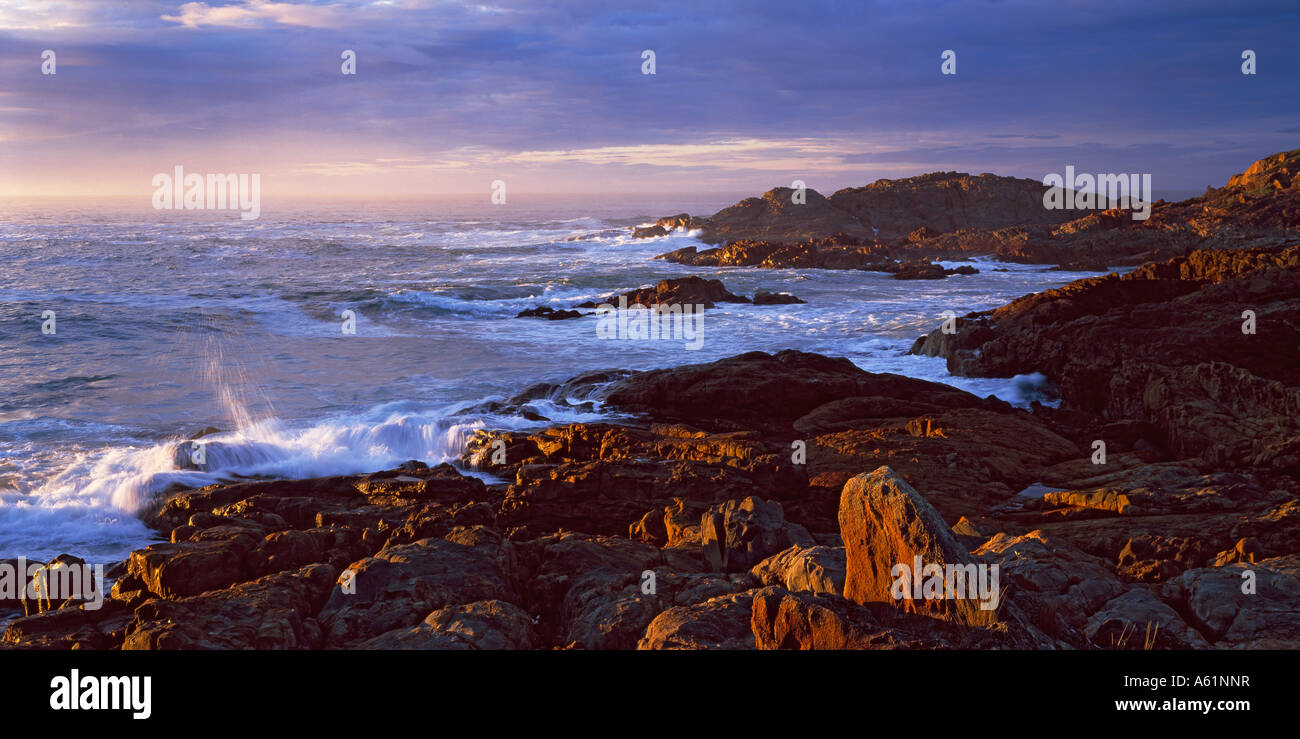 Stormy sunrise at the Mimosa Rocks Mimosa Rocks National Park New South ...