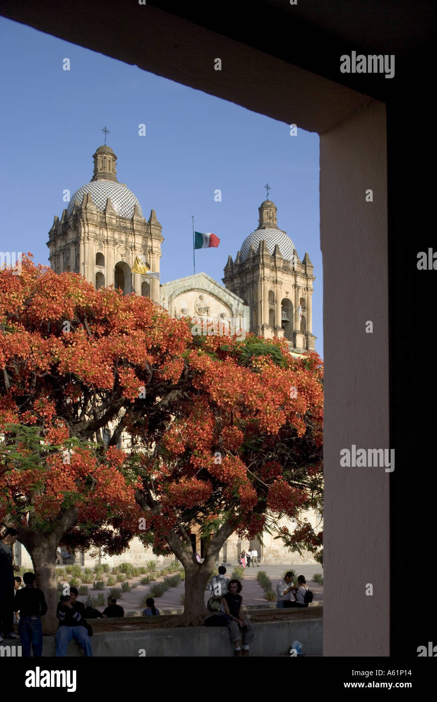 Mexico Oaxaca Setting sun lights flame trees and the Templo Santo ...