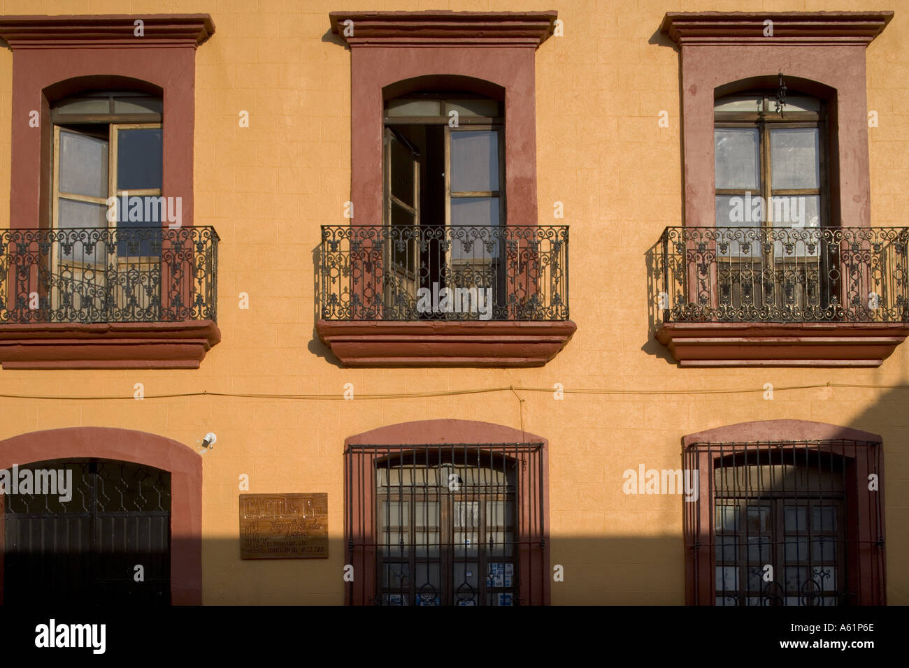 Mexico Oaxaca Morning sun lights a line of windows in a restored ...