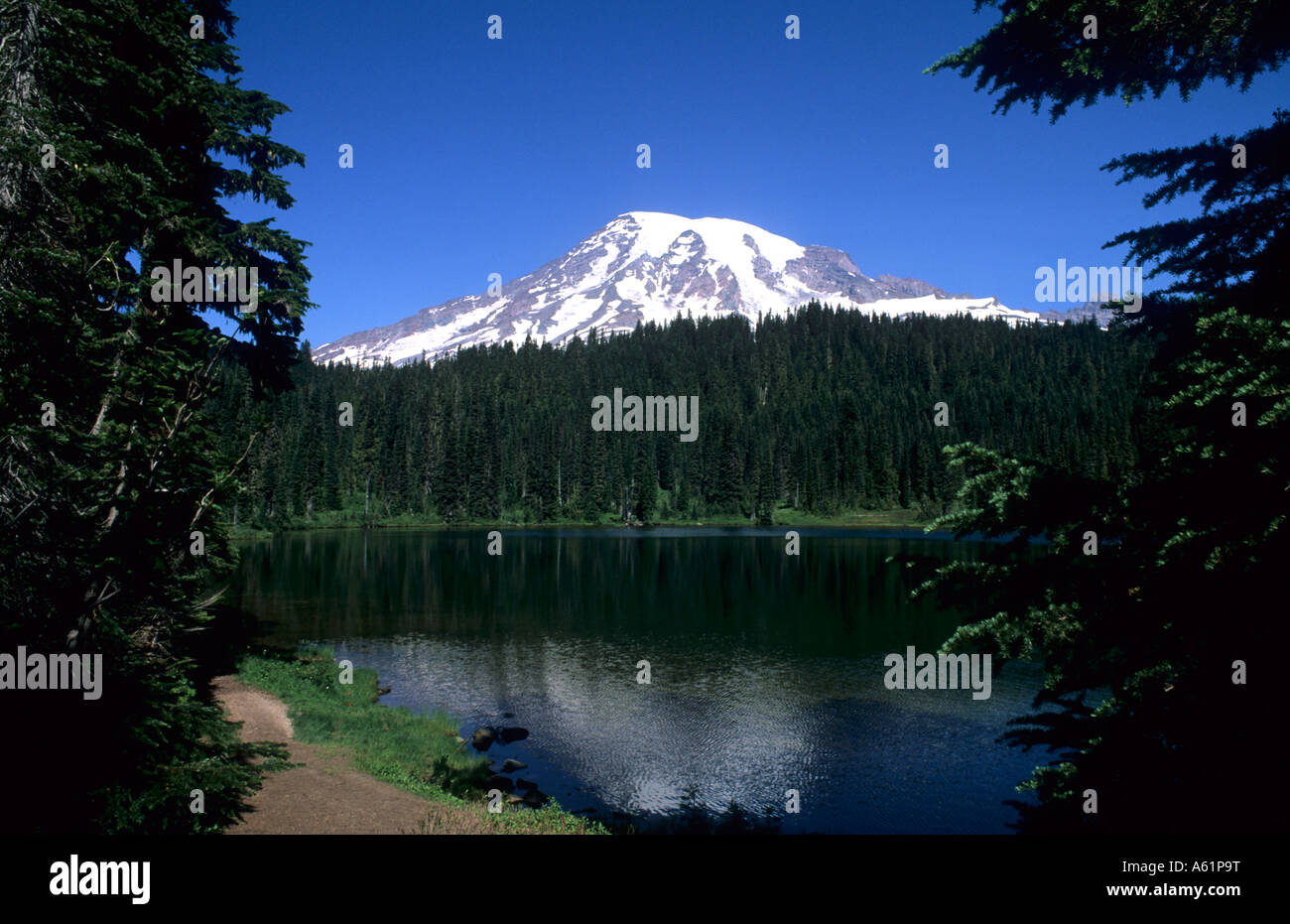 Beautiful Mt Rainier with snow caps in the Pacific Northwest below the ...