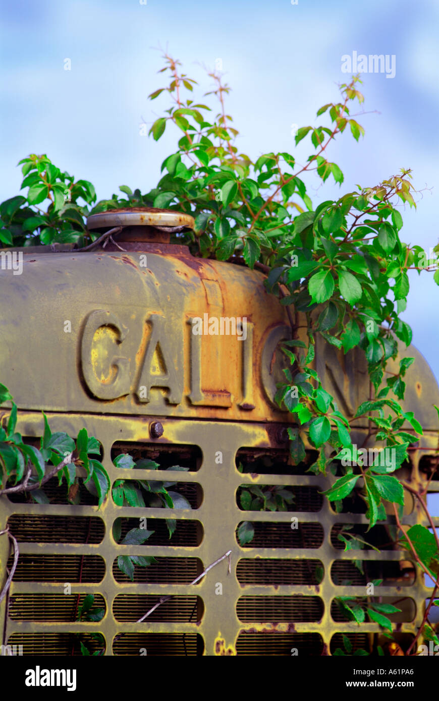 abandoned vehicle old heavy construction equipment rusty rusted ...