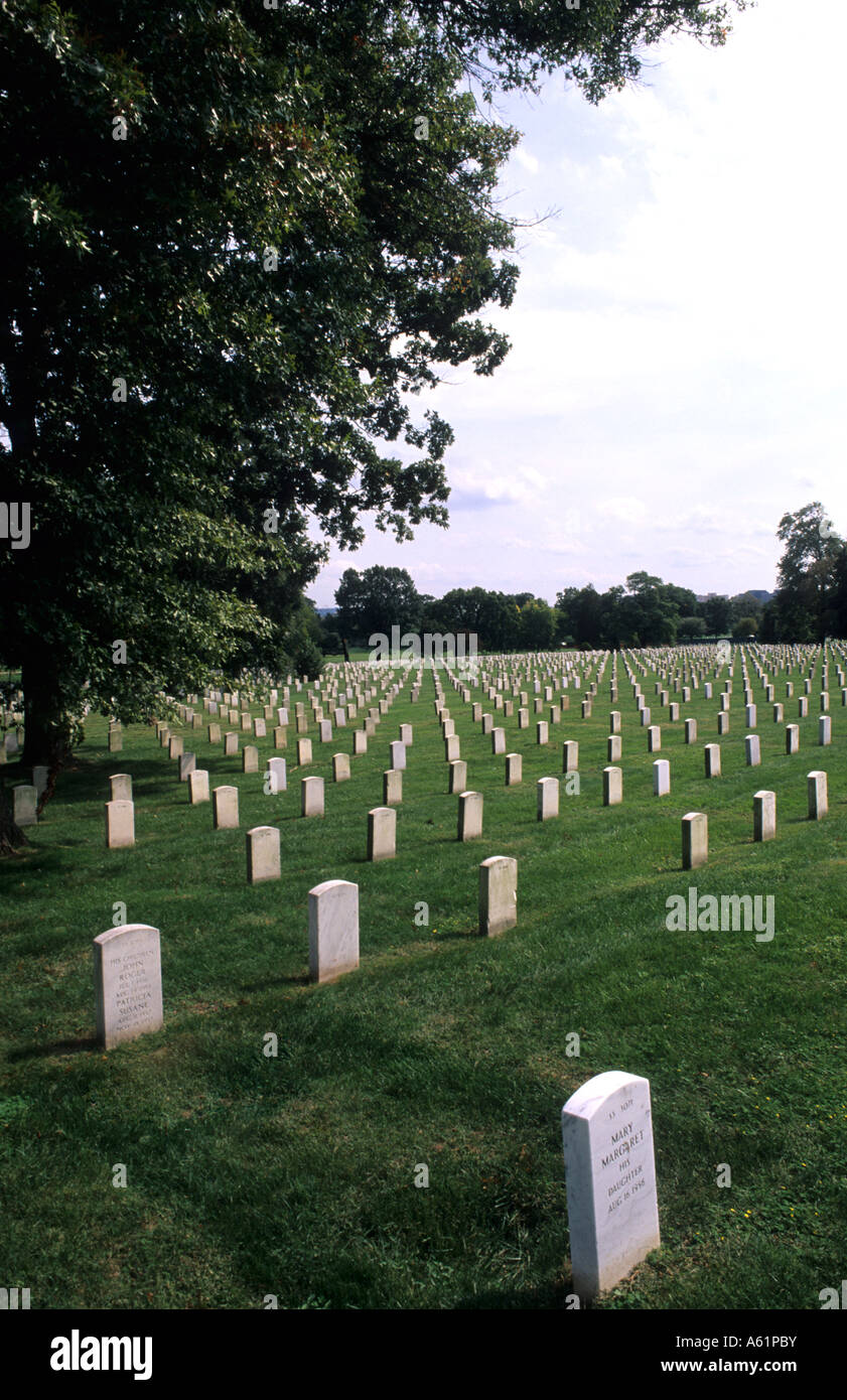 The beautiful color of the famous military graves in Arlington cemetary ...