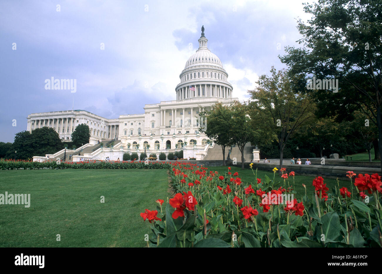 The beautiful color of the famous Capital Building with flowers in ...