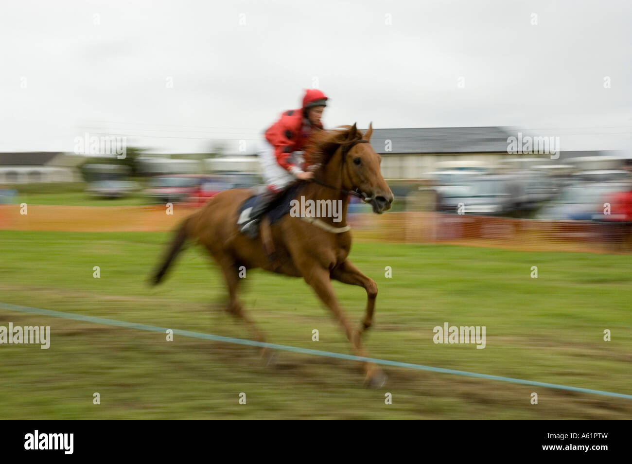 Point to point racing, County Limerick, Ireland Stock Photo - Alamy