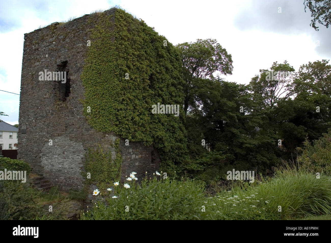 Castle, County Limerick, Ireland Stock Photo - Alamy