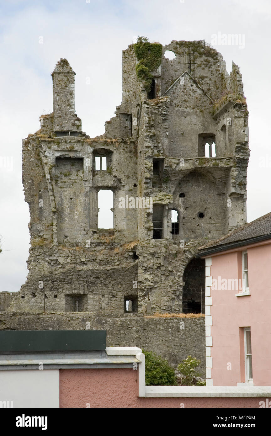 Desmond Castle in Askeaton, County Limerick, Ireland Stock Photo - Alamy