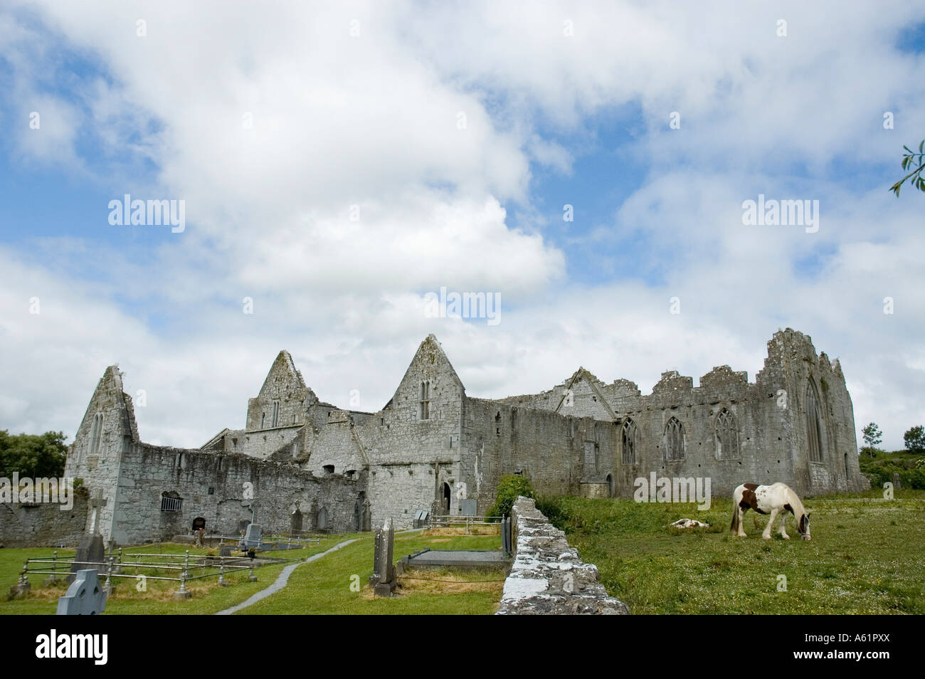Askeaton Castle, Ireland Stock Photo - Alamy
