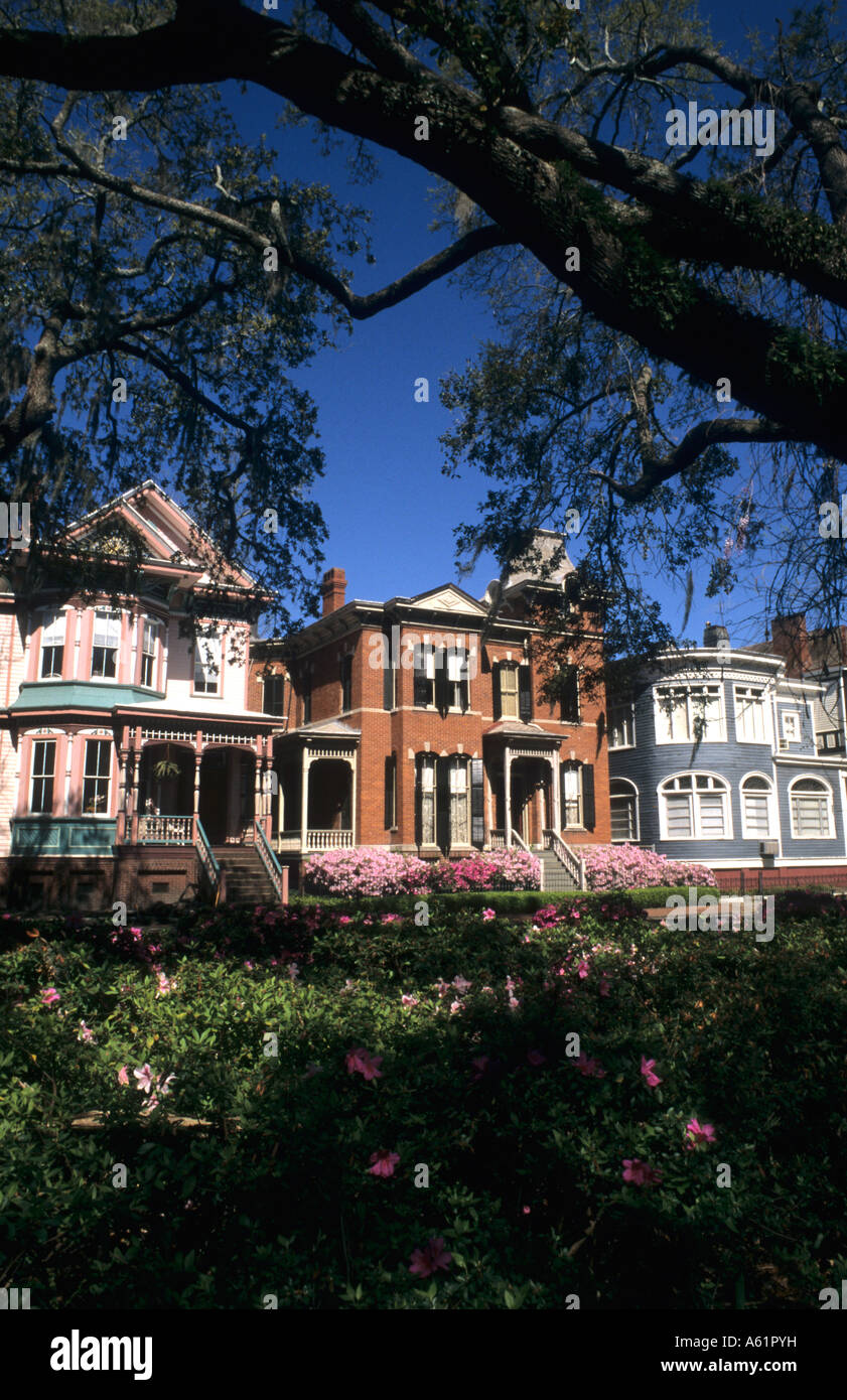 Old beautiful restored Southern Victorian homes of the wonderful town ...