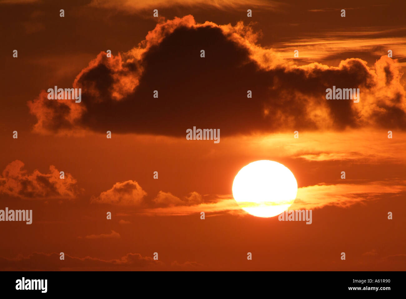 Florida east coast sunrise hi-res stock photography and images - Alamy