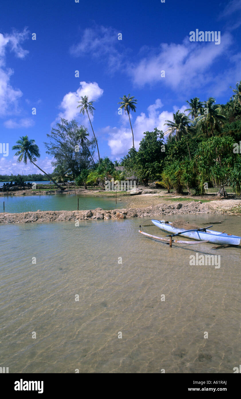 Native boat beach and palm in Tahiti in French Polynesia in the South ...