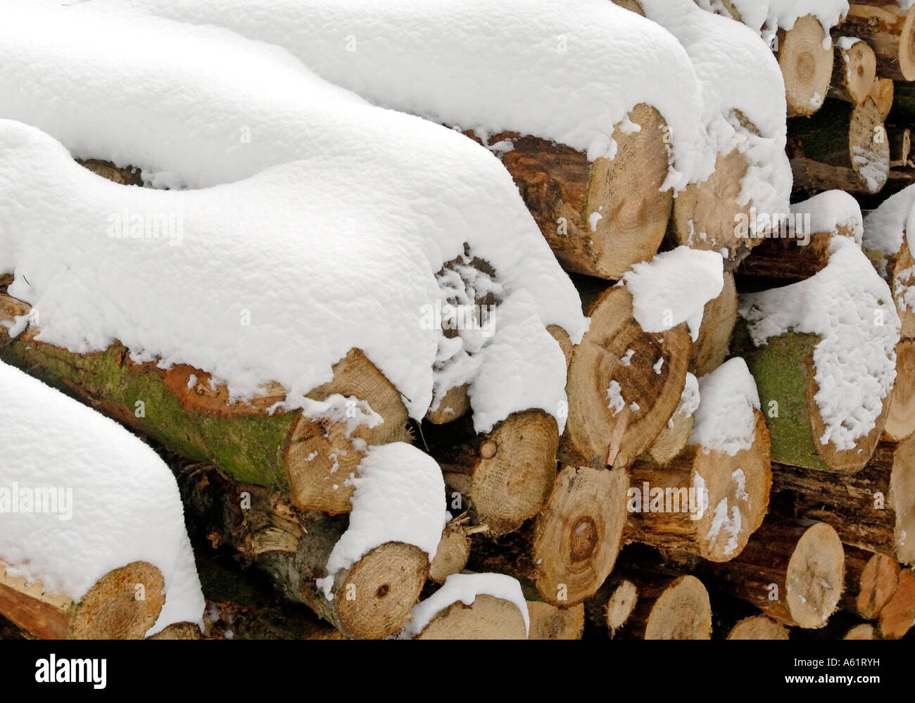 Horz hi-res stock photography and images - Alamy