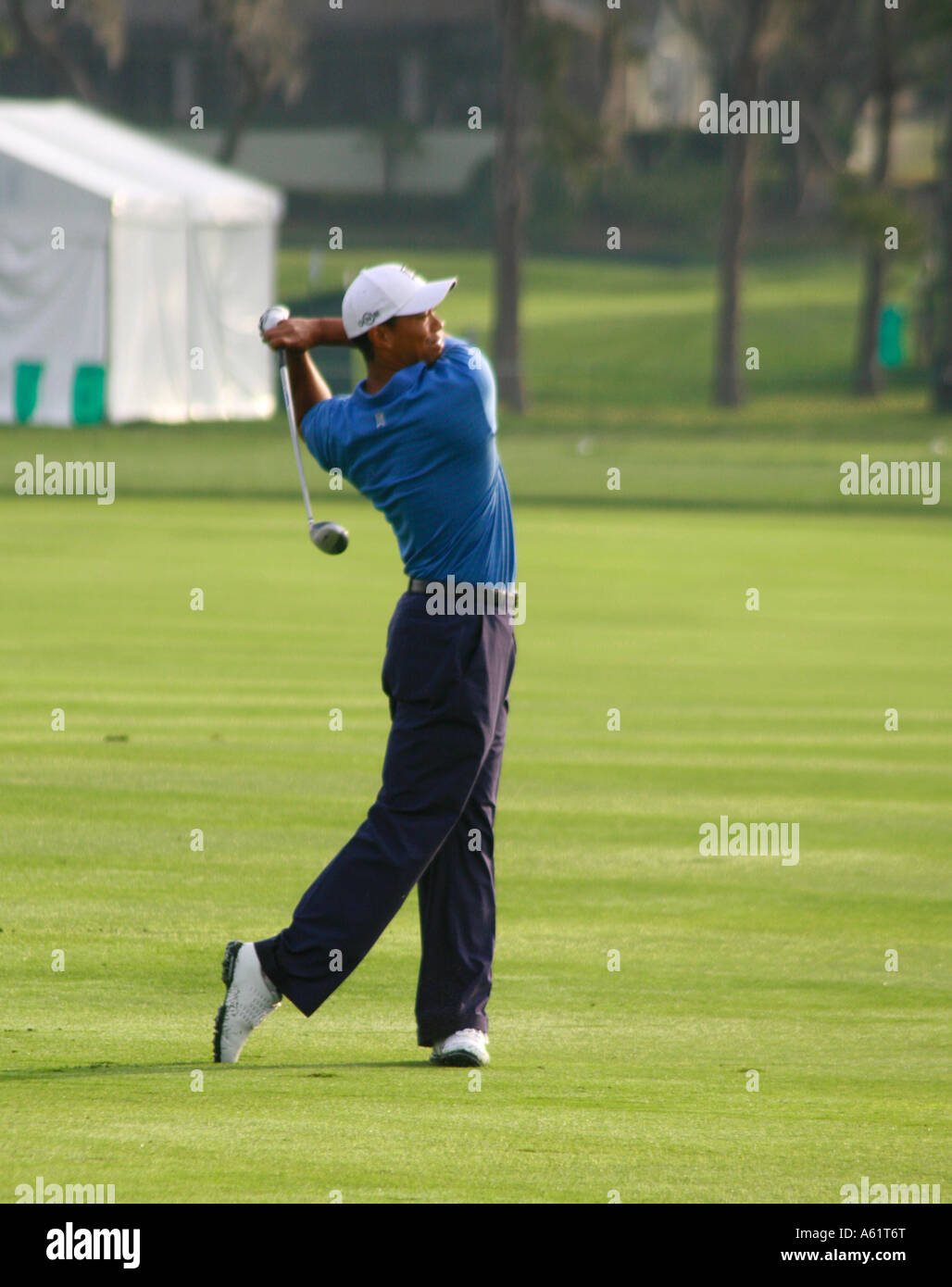 Professional Golfer Tiger Woods Stock Photo - Alamy