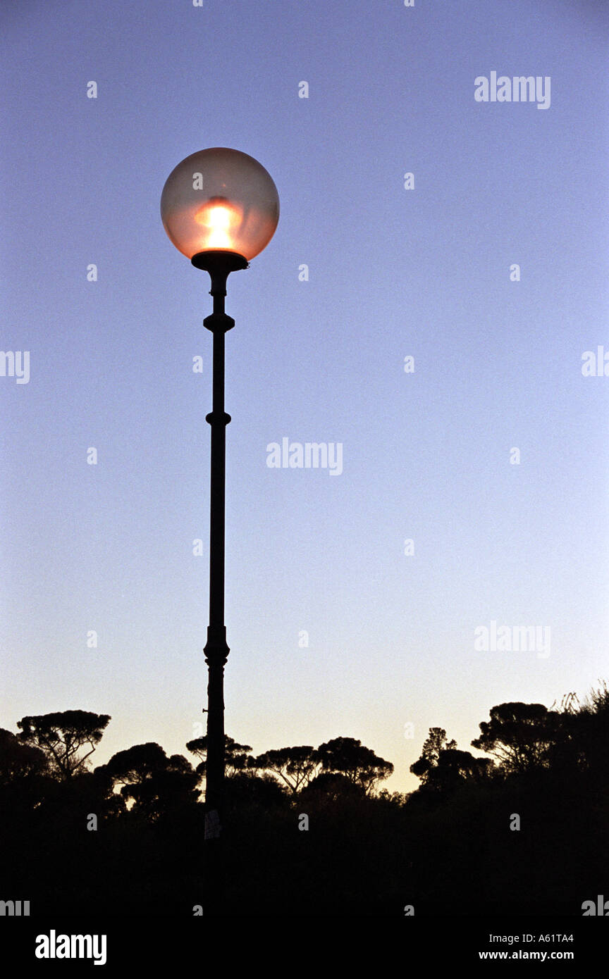 spherical lampost lit at night with trees in background Stock Photo - Alamy