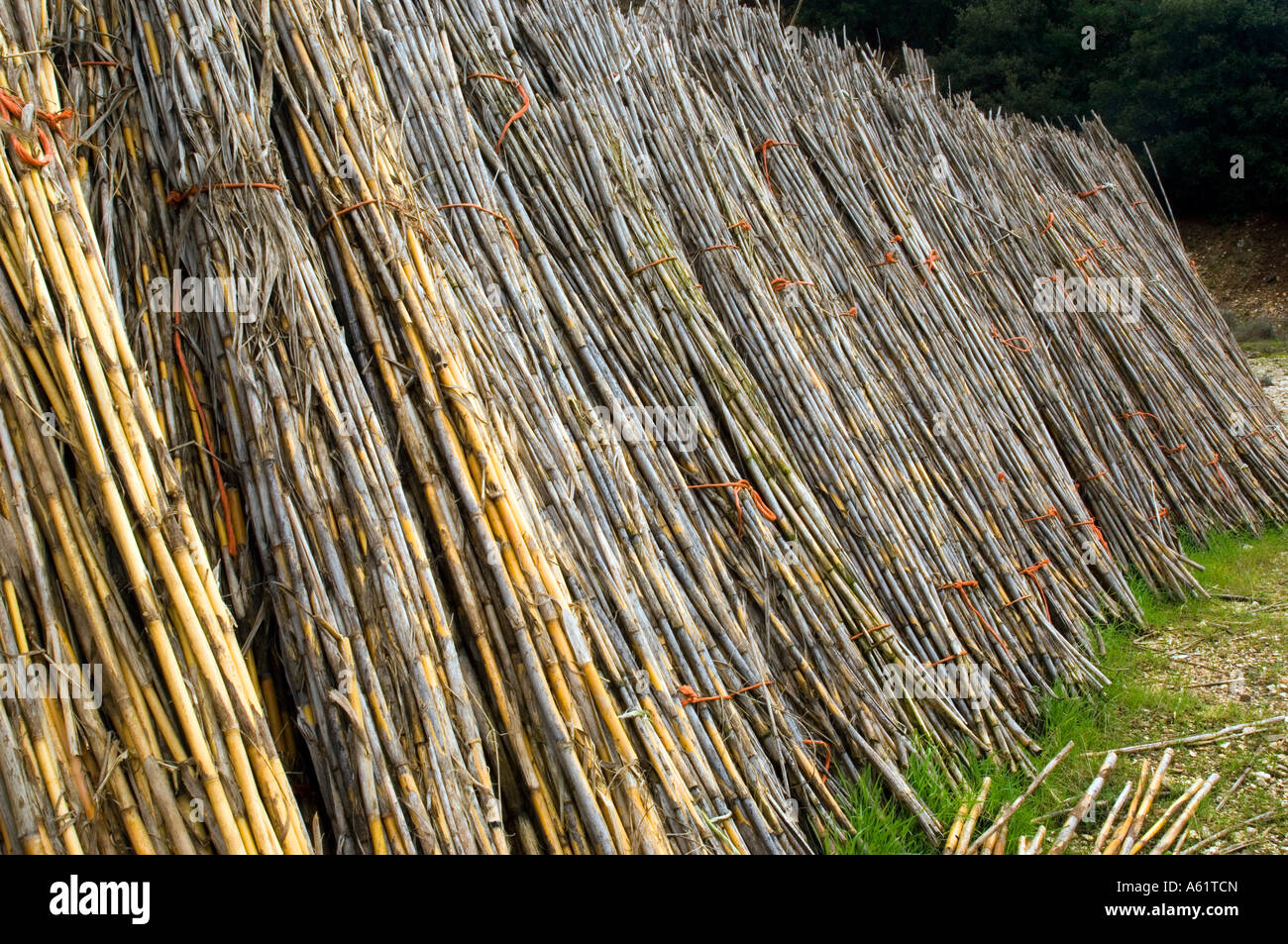 Reed sheaves hi-res stock photography and images - Alamy