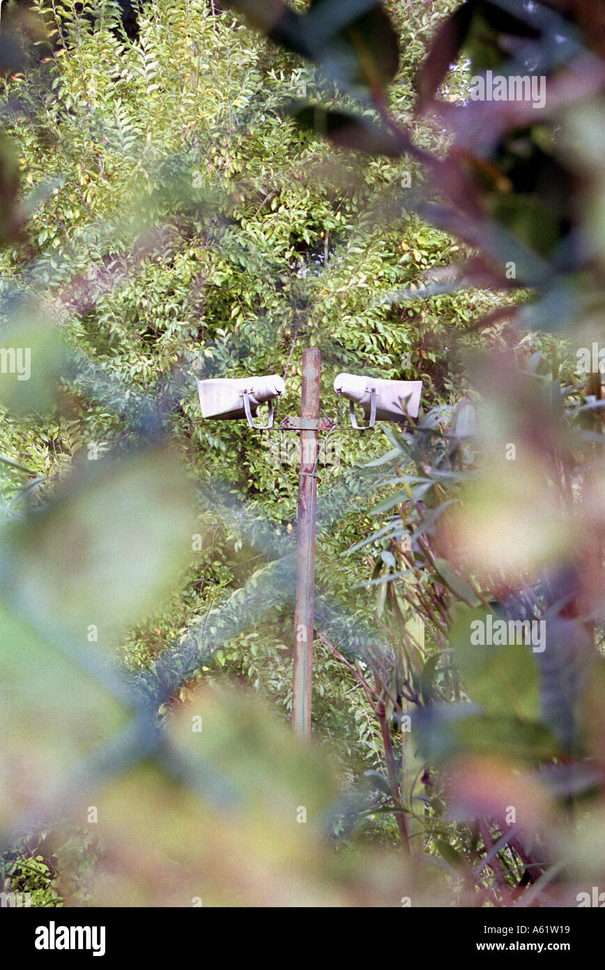 two public announce system speakers through trees Stock Photo - Alamy