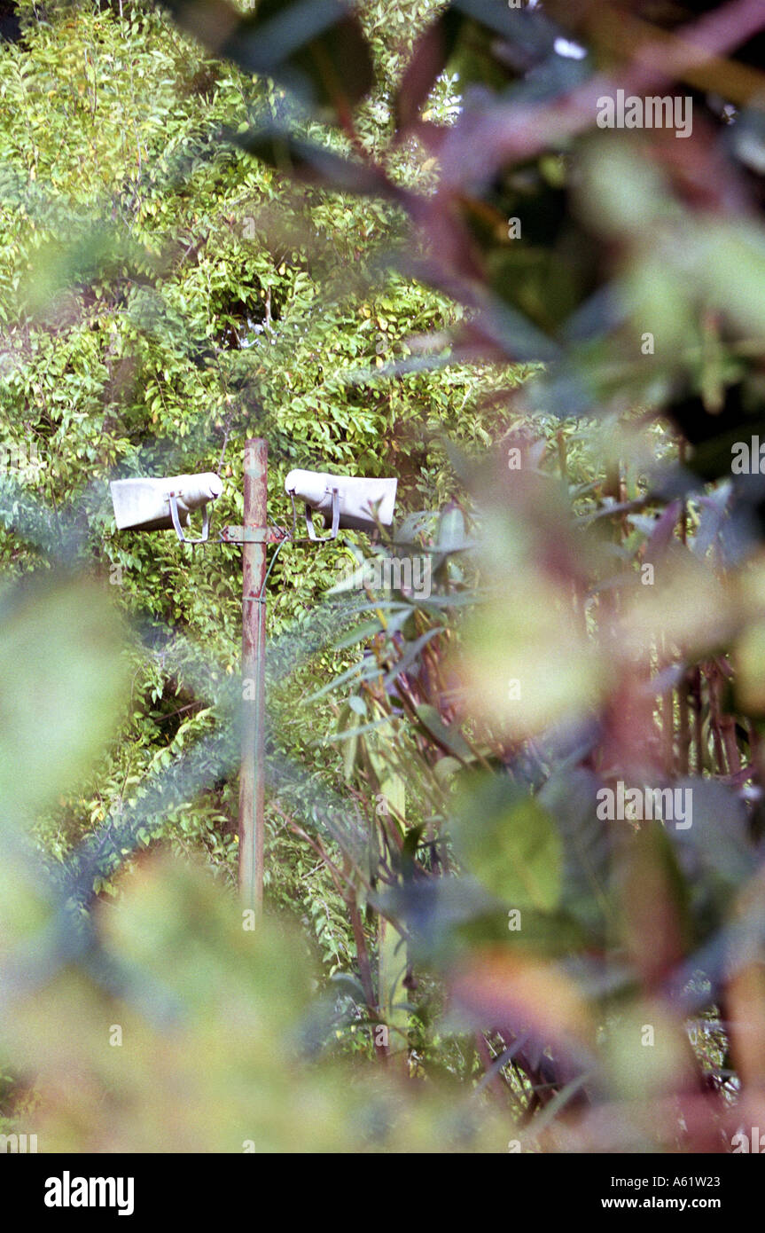 two public announce system speakers through trees Stock Photo - Alamy