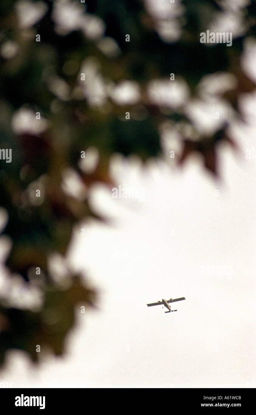 light plane flying through trees Stock Photo - Alamy