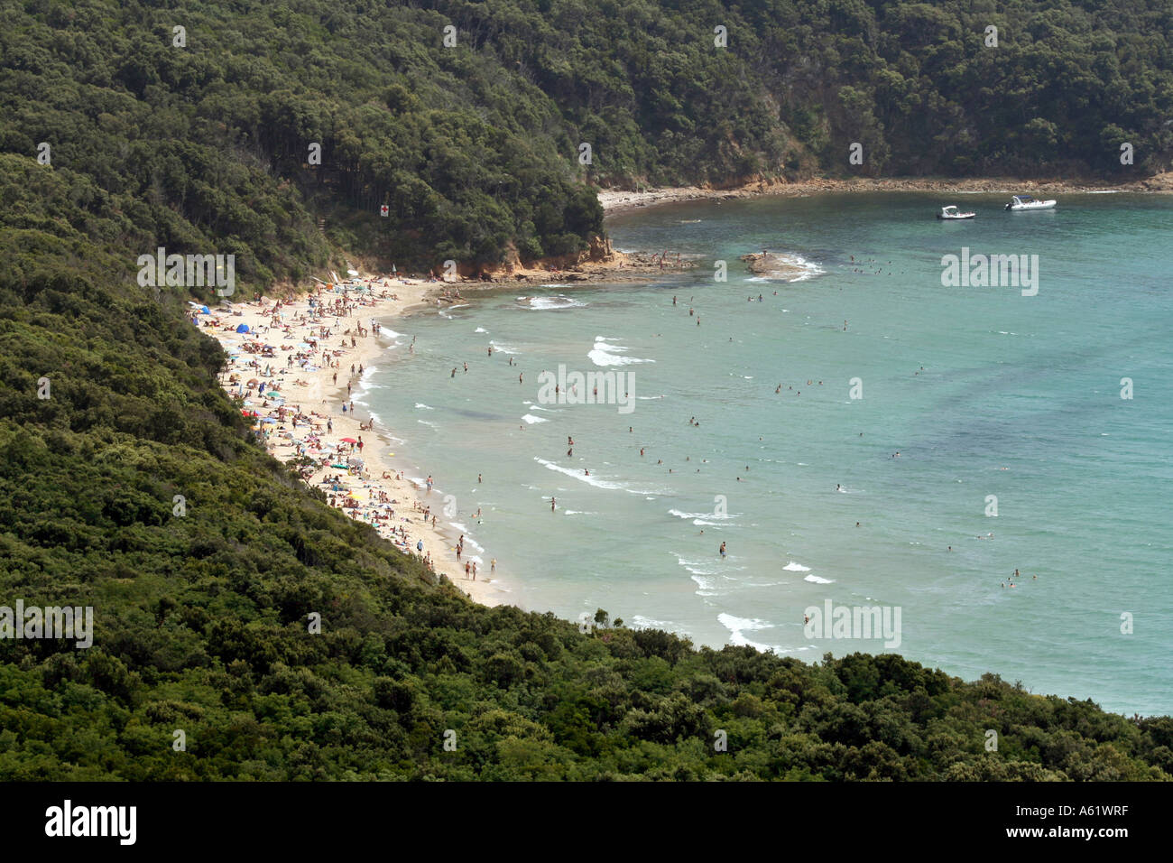 Cala violina hi-res stock photography and images - Alamy
