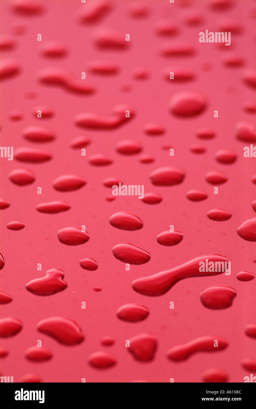 water droplets on red drops of water backgrounds Stock Photo - Alamy