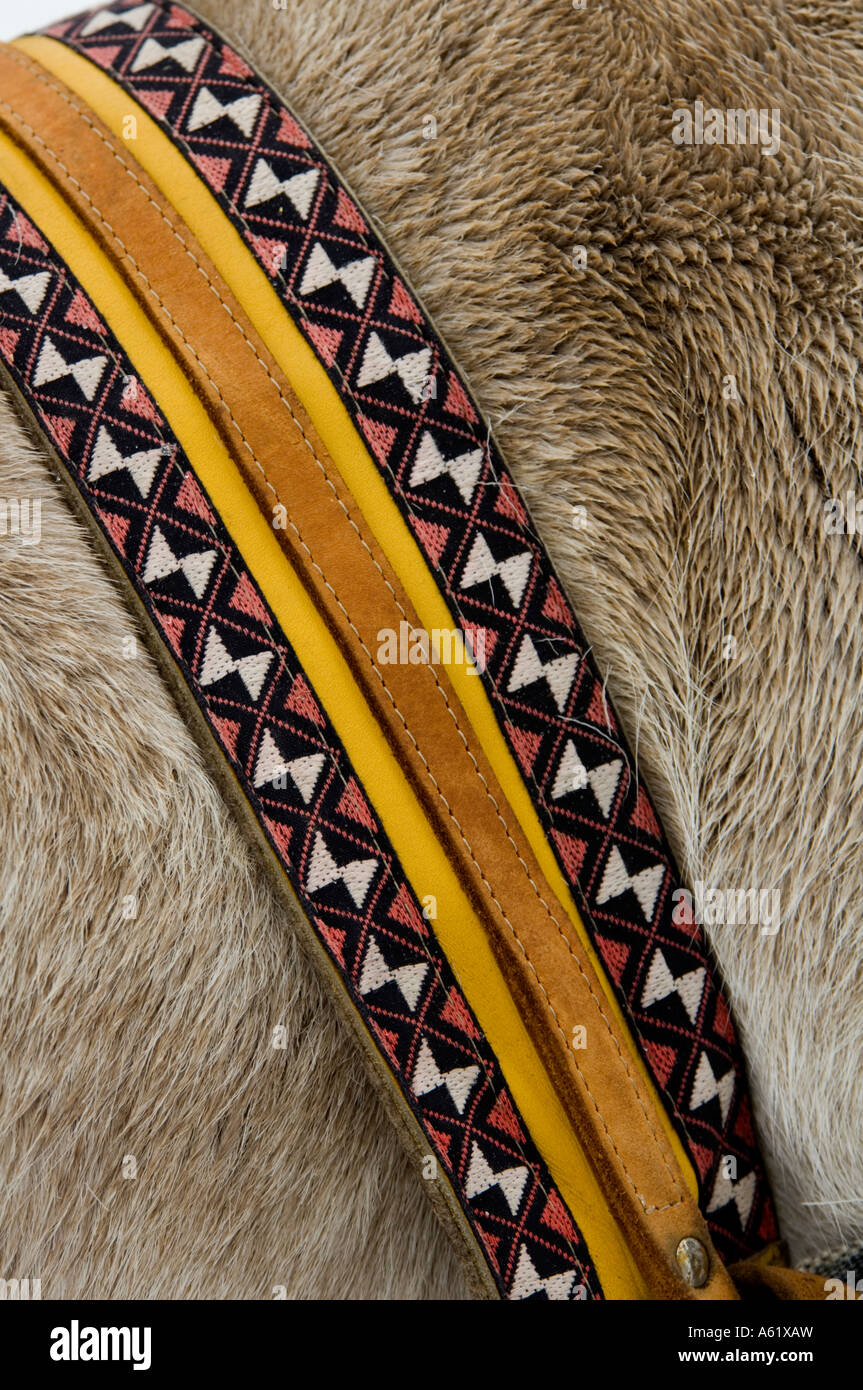 Details of a reindeer harness, Rovaniemi, Lapland, Northern Finland ...