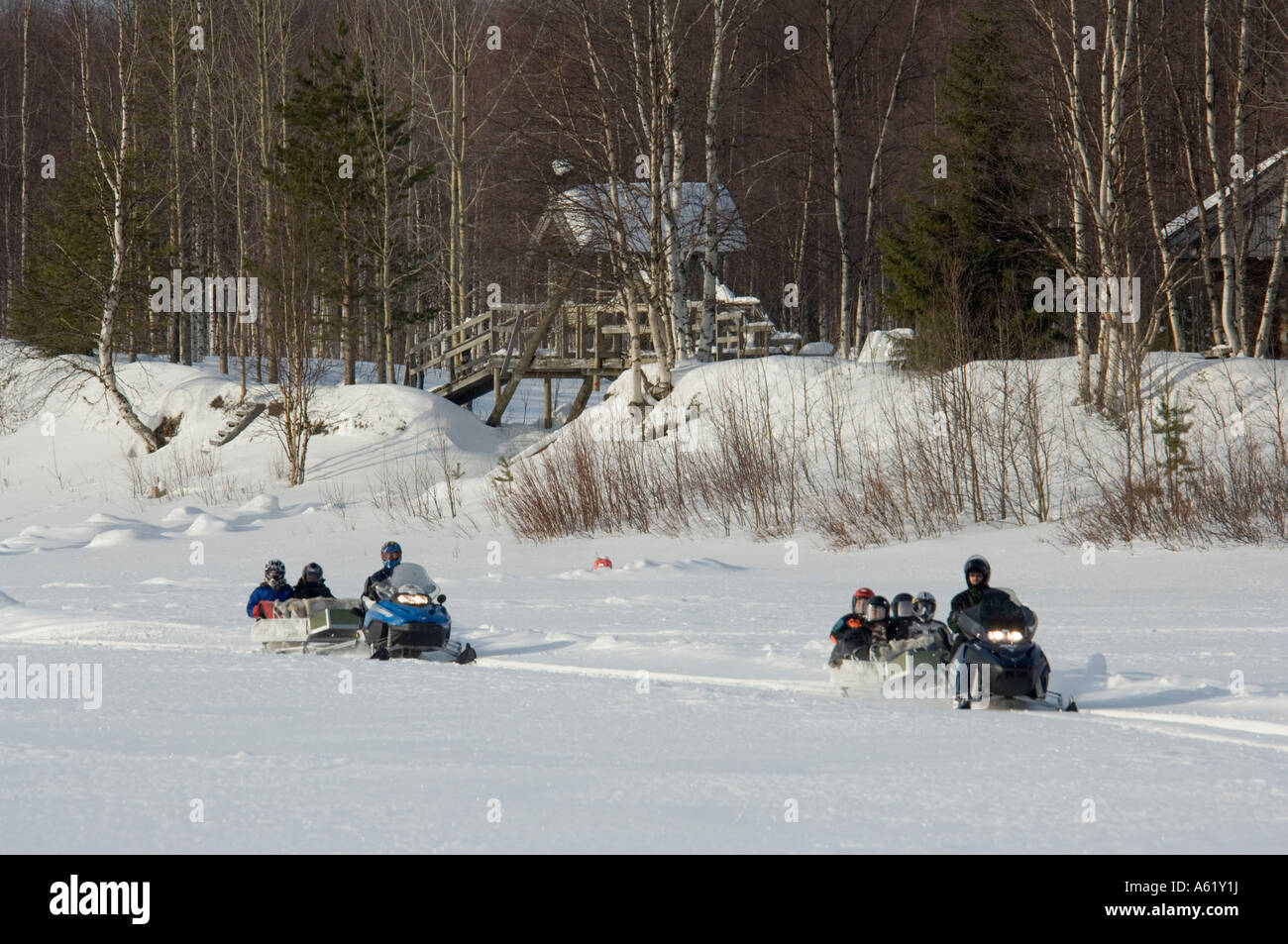 Tourists in snowmobiles, Luosto, Lapland, Northern Finland, Europe ...