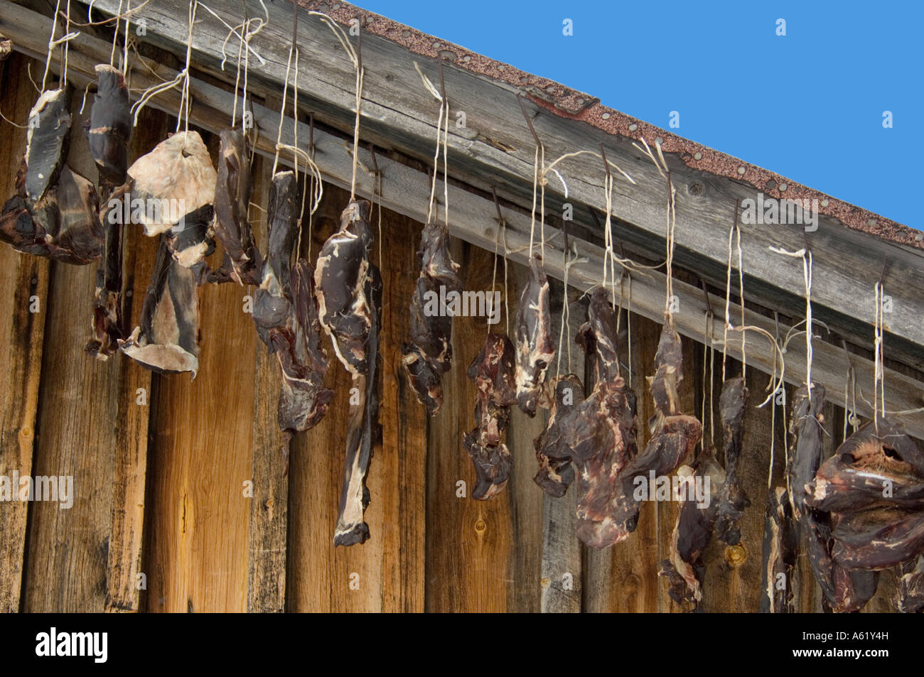 Reindeer meat drying along the rooftop of a log cabin, Luosto, Lapland ...