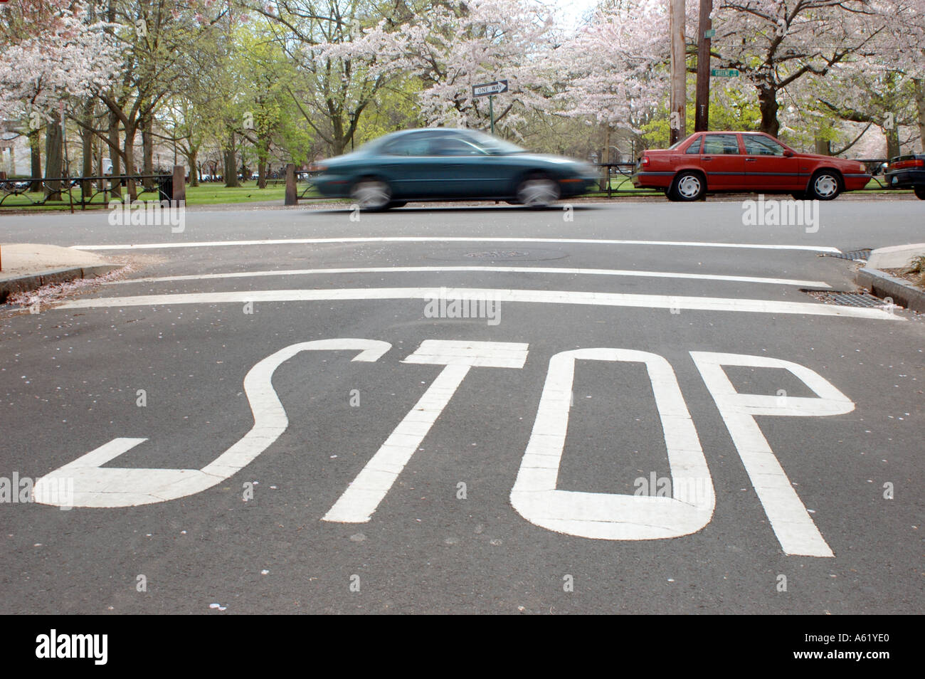 Stop road street intersection car in motion blur s t o p cross walk ...