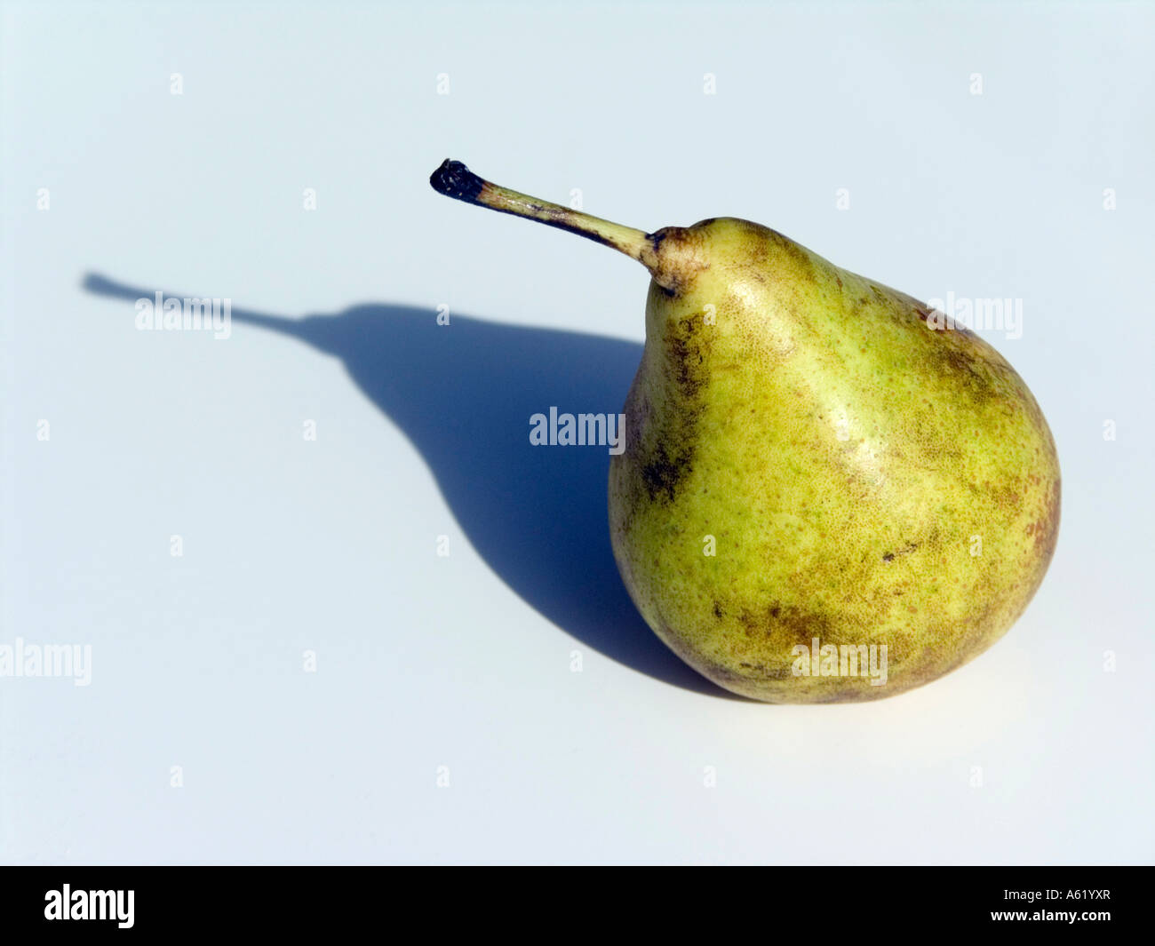 pear on a white background Stock Photo - Alamy