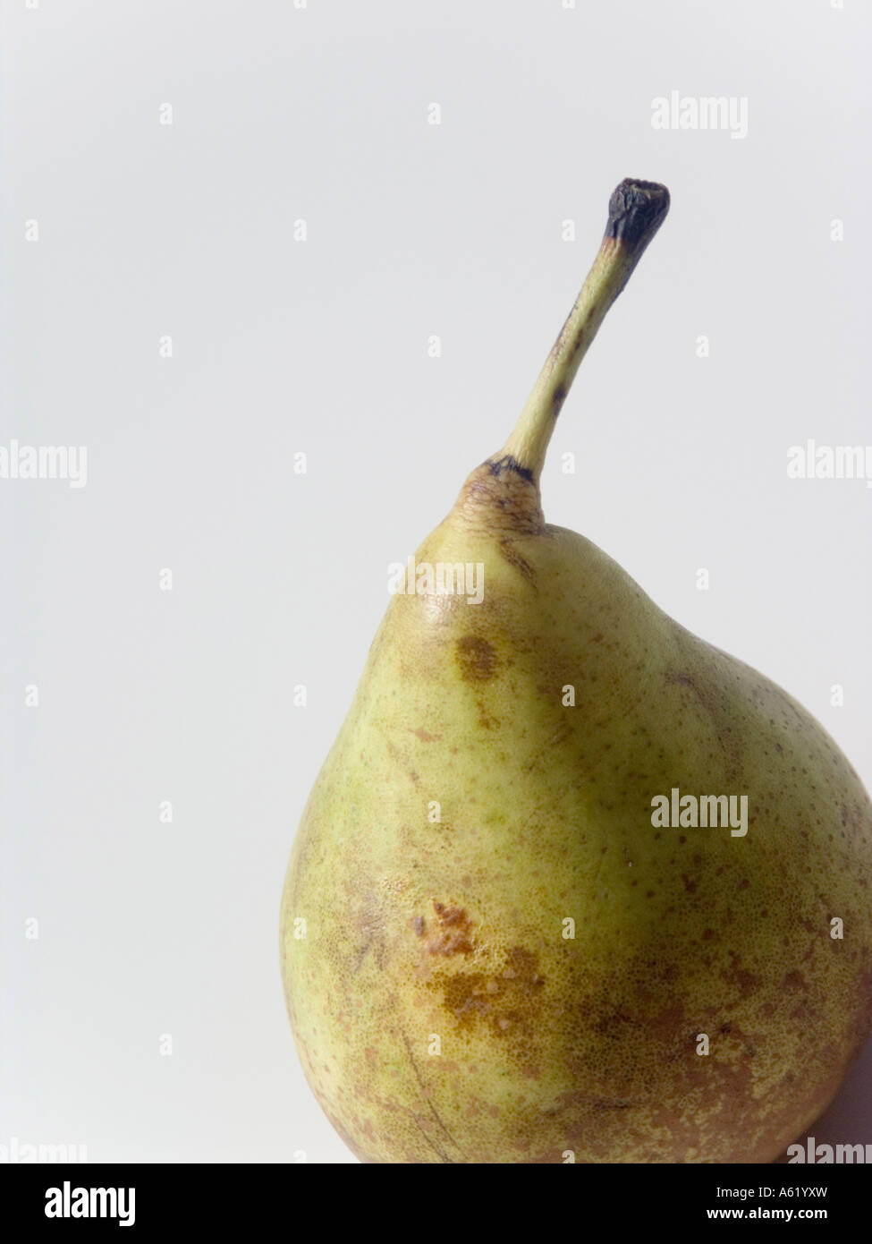 pear on a white background Stock Photo - Alamy