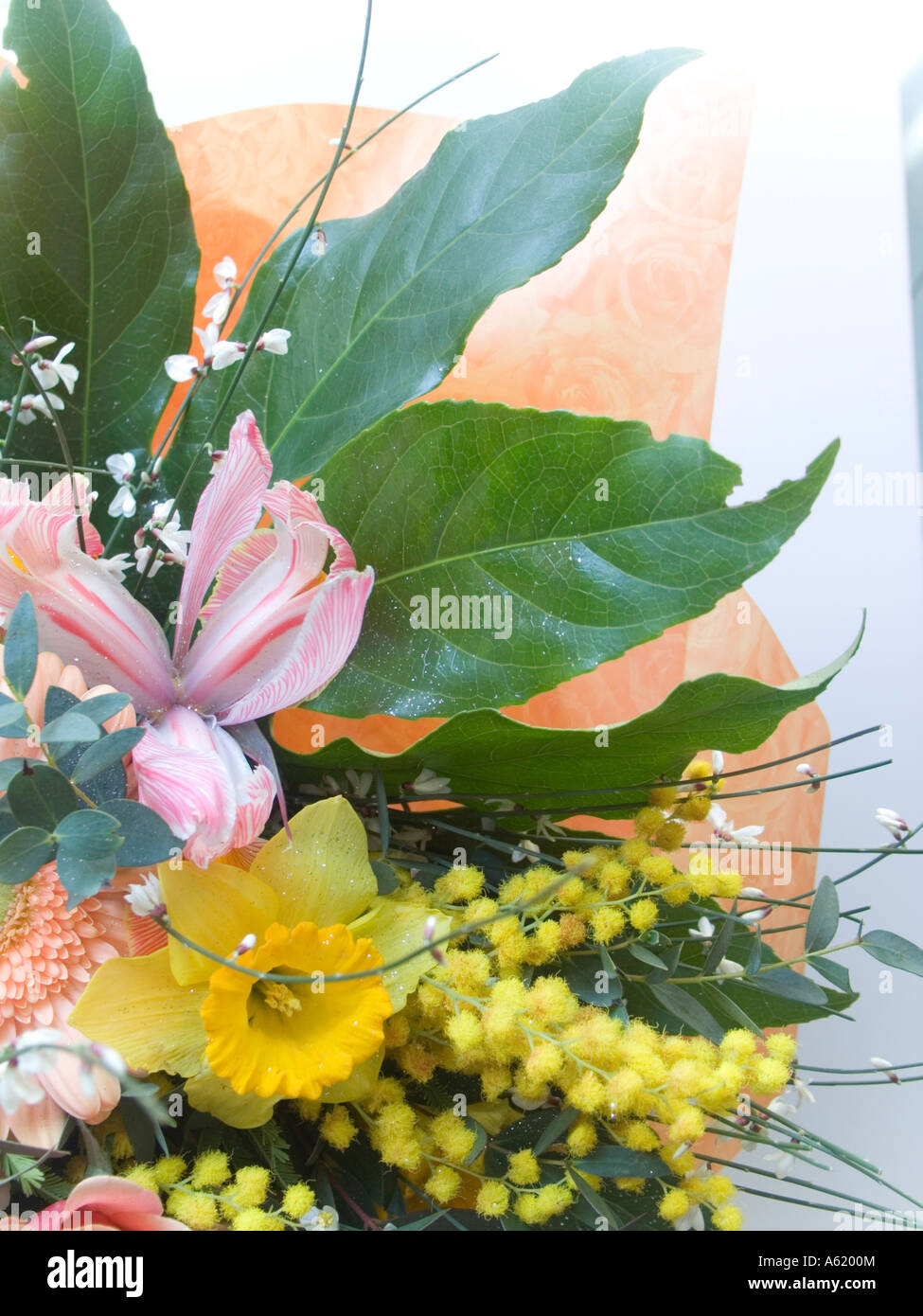 flower blossom composition Stock Photo - Alamy
