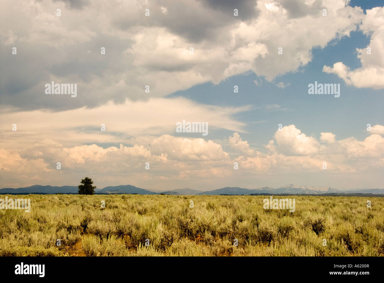 Praerie hi-res stock photography and images - Alamy