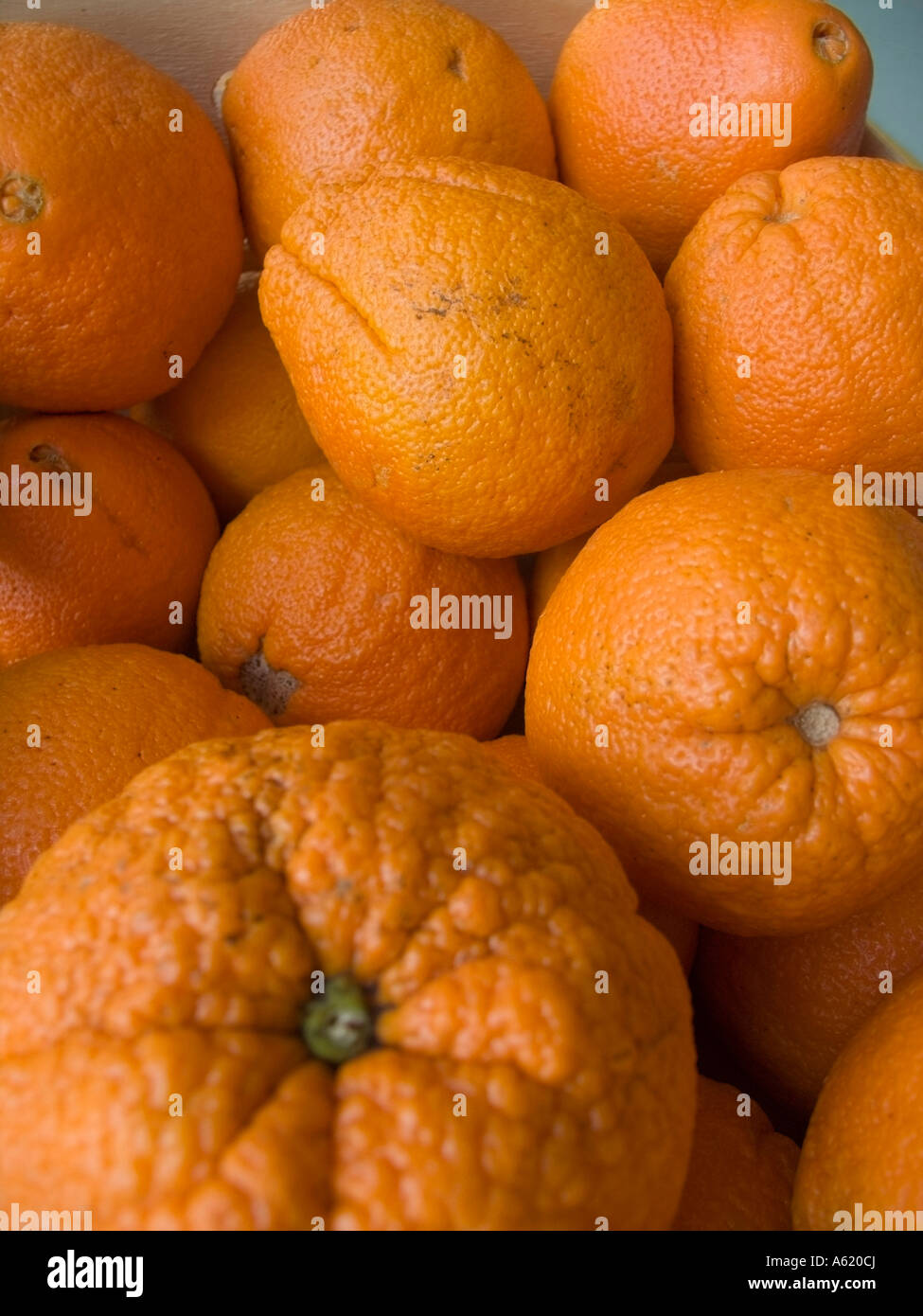 Closa up hi-res stock photography and images - Alamy