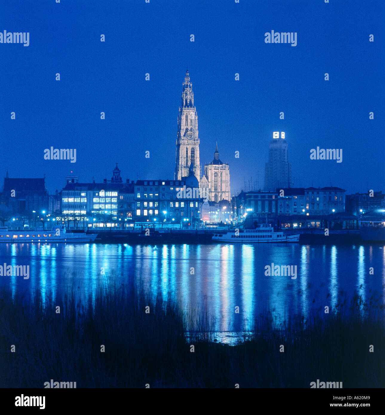 Town lit up at waterfront during night, Antwerpen, Belgium Stock Photo ...
