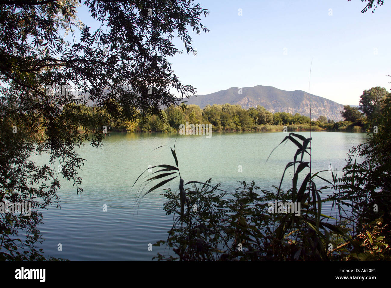 Torbiere del sebino hi-res stock photography and images - Alamy