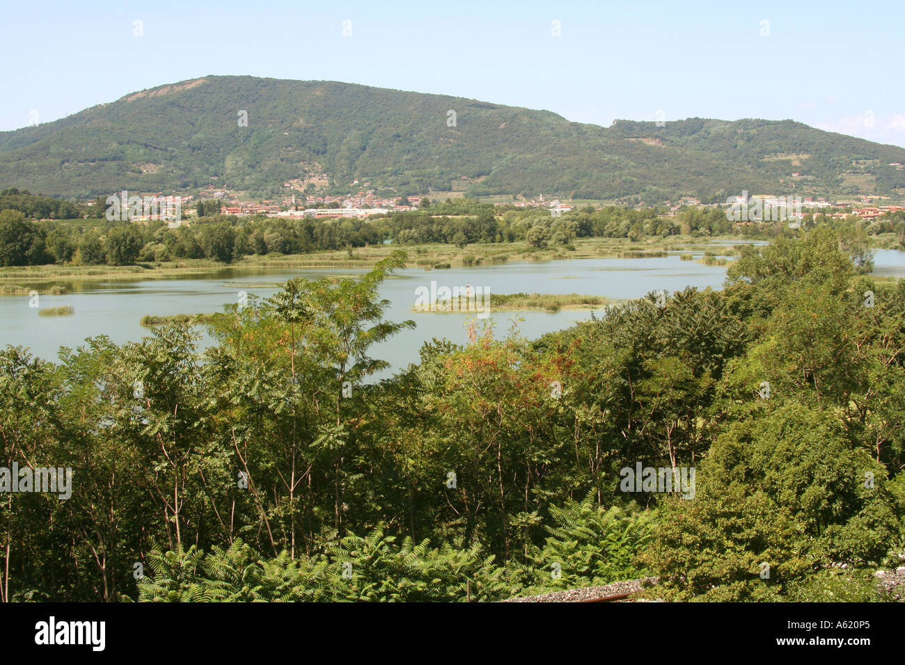 Torbiere del Sebino natural reserve Franciacorta Lombardy Italy Stock ...
