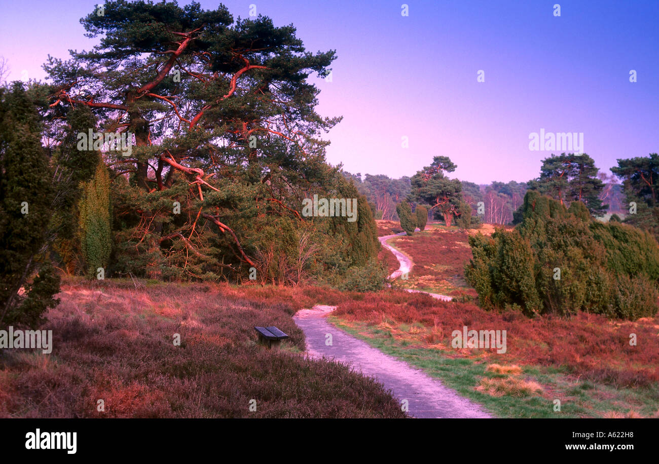 Dirt road running through a landscape Stock Photo - Alamy