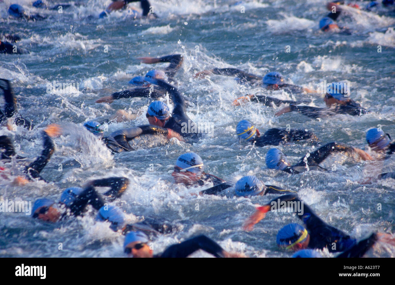 Crowd of triathletics swimming in water for triathlon Stock Photo - Alamy