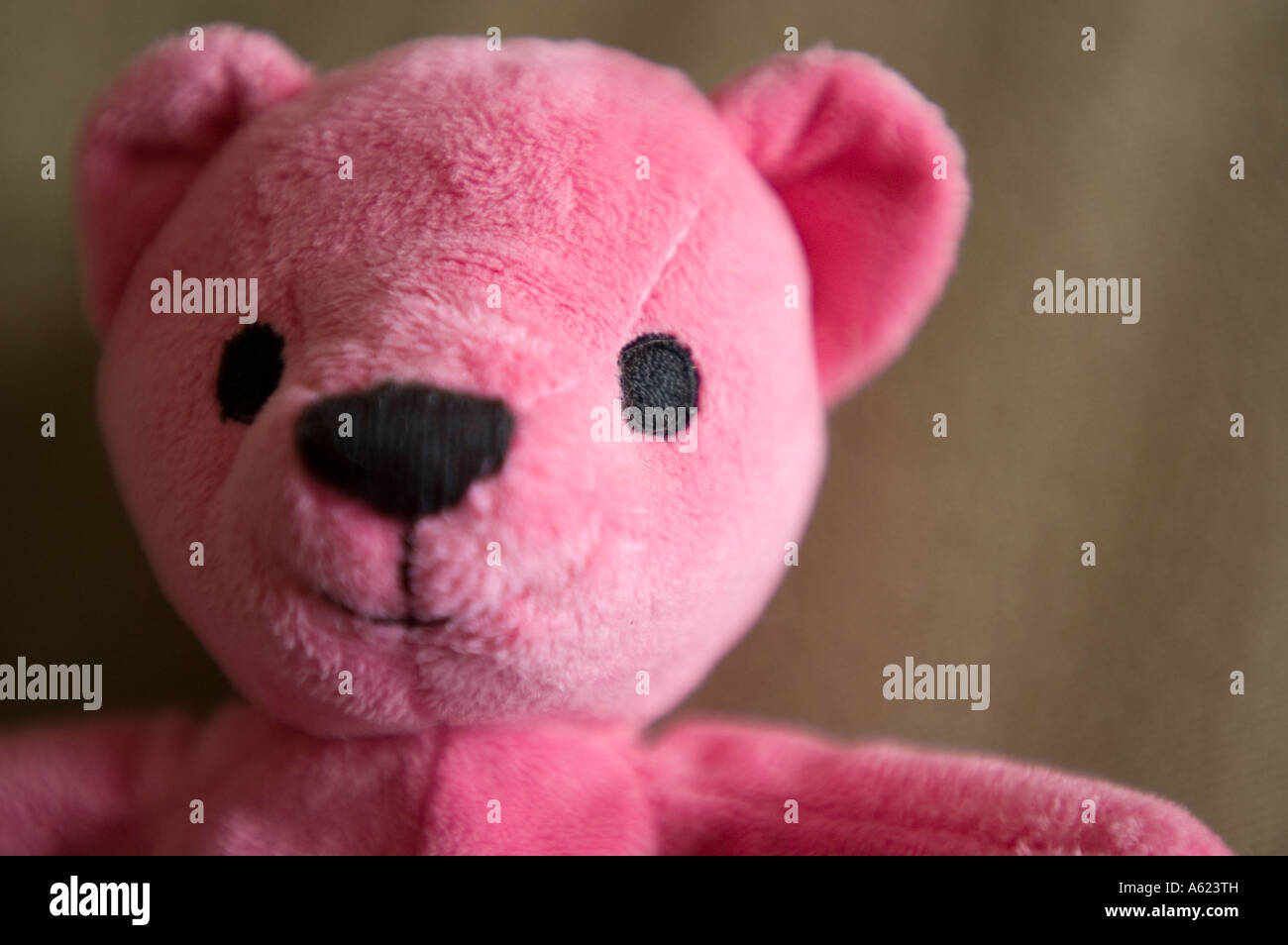 closeup of pink bear Stock Photo - Alamy