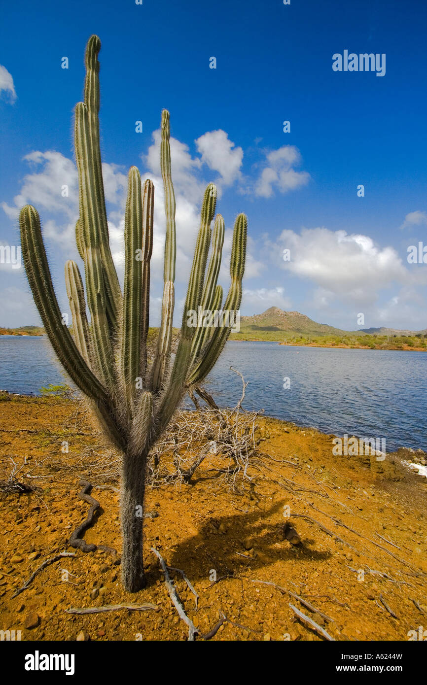 Desert lan hi-res stock photography and images - Alamy