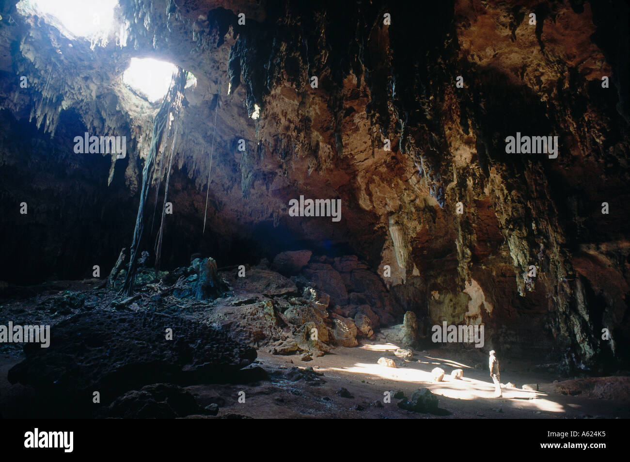 Sunlight in cave, Loltun Cave, Yucatan, Mexico Stock Photo - Alamy