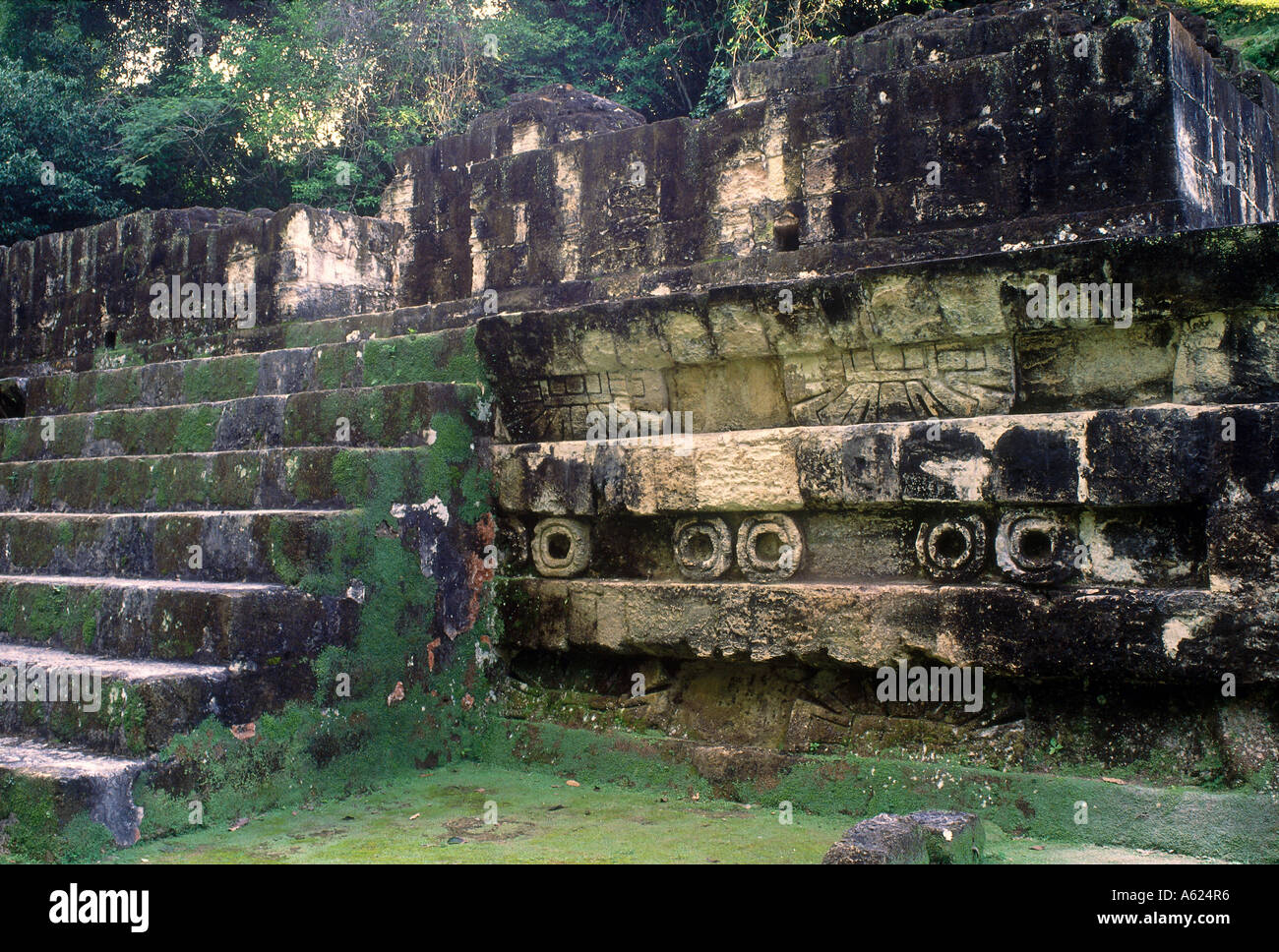 Ruins of temple, El Mundo Perdido, Tikal, Peten, Guatemala Stock Photo ...