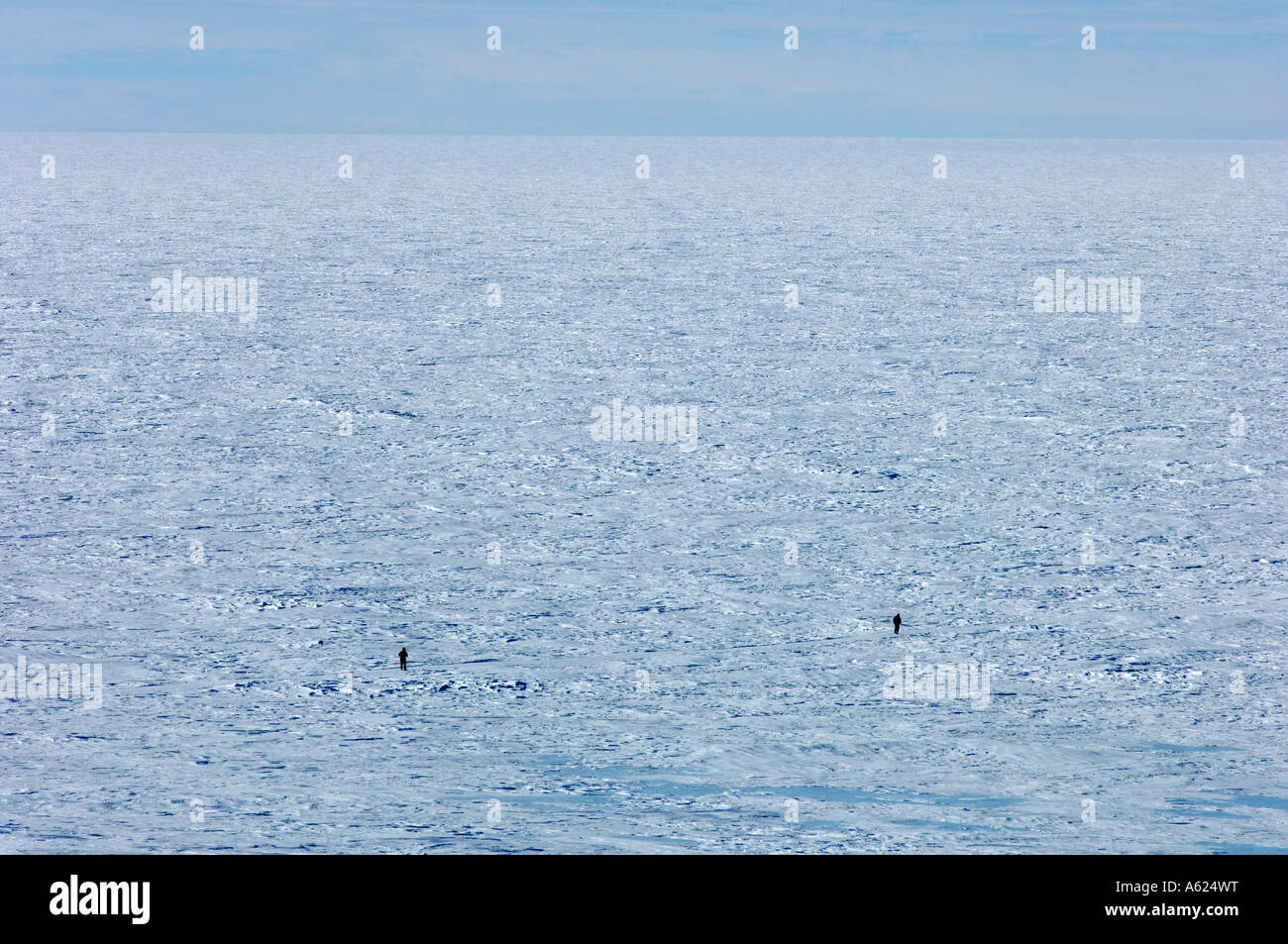 antarctic ice marathon, antarctica,runner, Ellsworth mountains, ice ...
