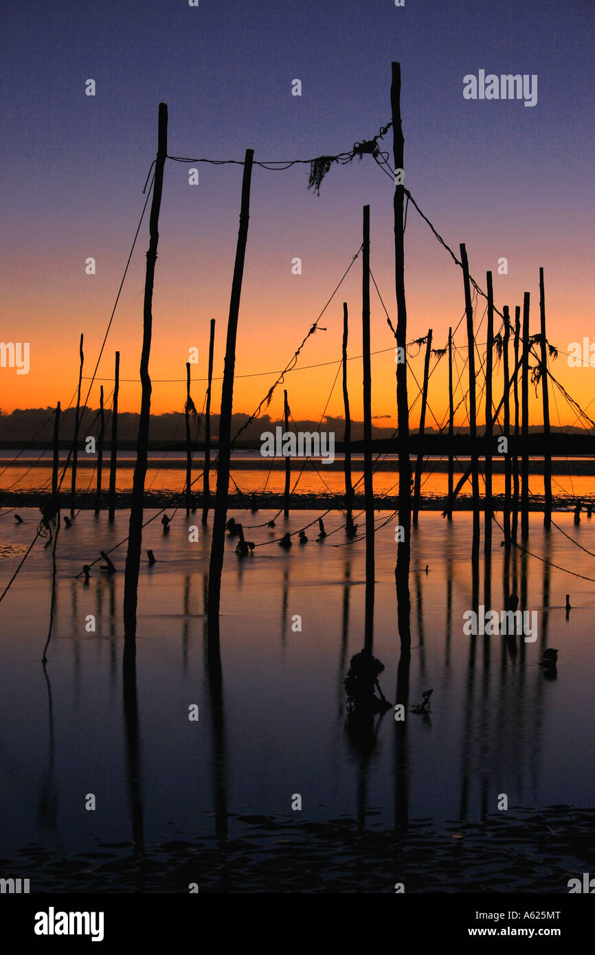 Fishing stakes silhouetted by the dying embers of day - a traditional ...