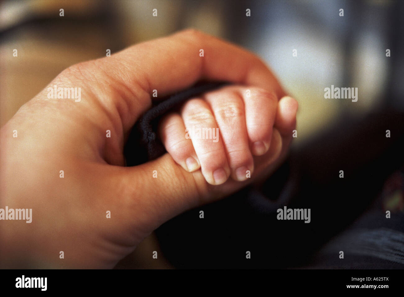 Small hand, big hand Stock Photo - Alamy