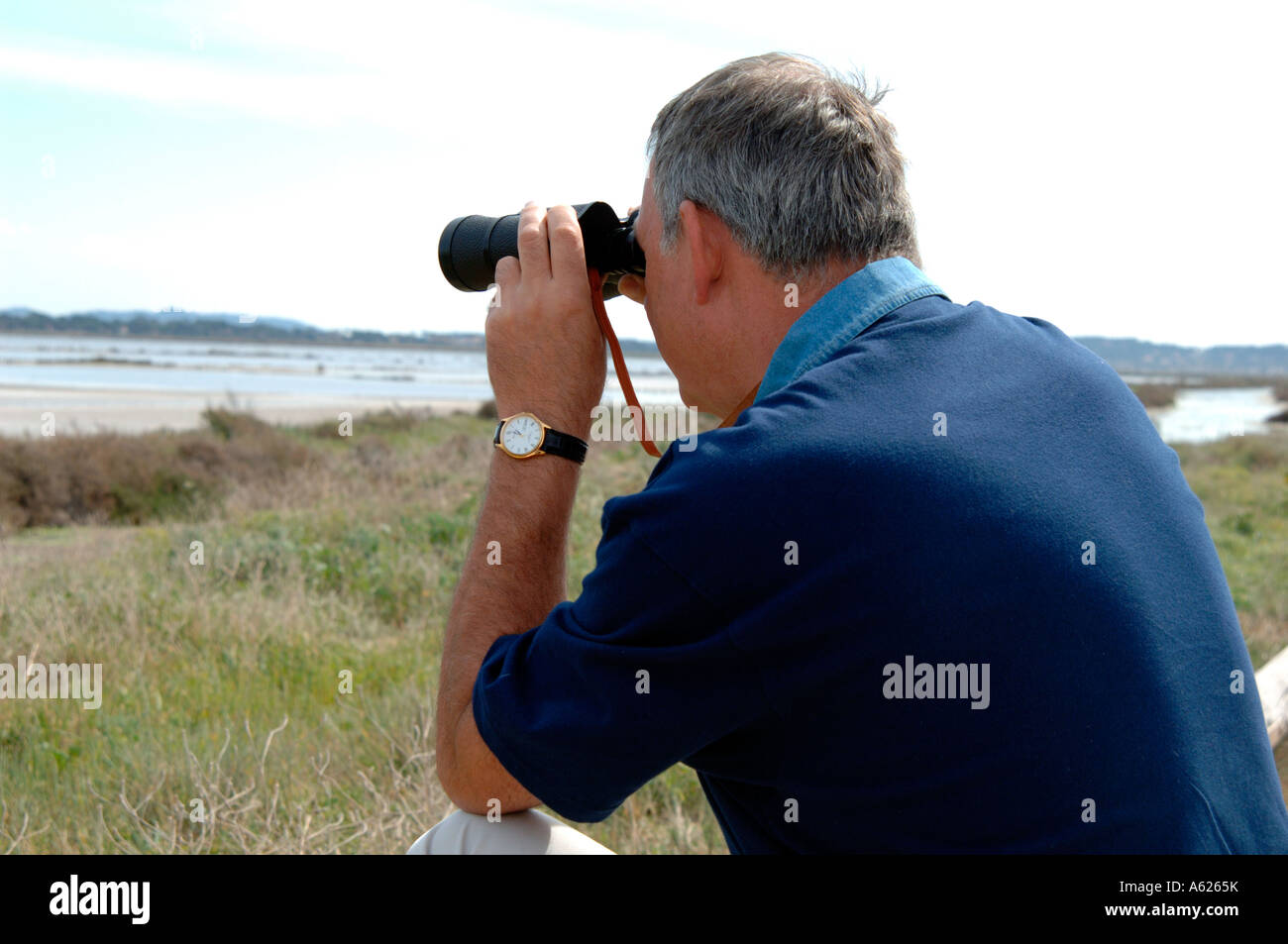 Man Bird Watching Stock Photo - Alamy