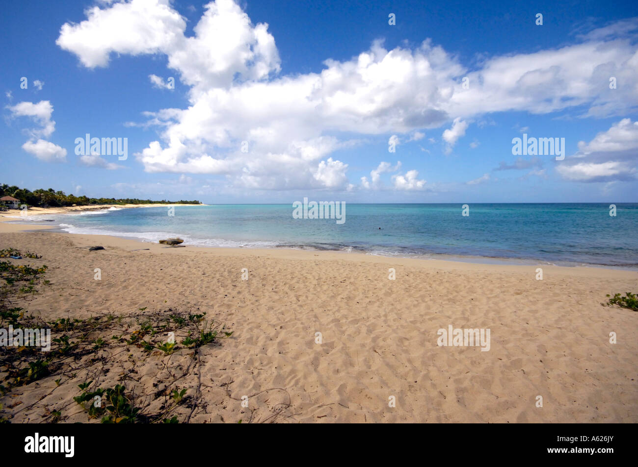 St Maarten Plum Bay Stock Photo - Alamy